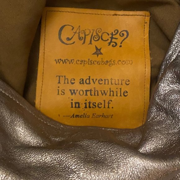 Capisce | Bags | Capisce Rosesilver Purse With Amelia Earhart Quote ...